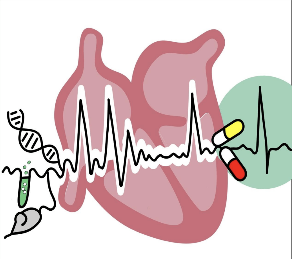 Atrial Fibrillation (AFib) Diagnosis And Treatments Need a New Holistic ...