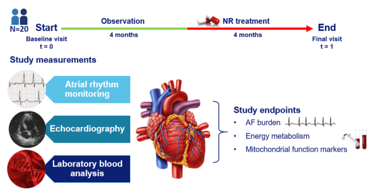 Trial: Using Vitamin B3 To Treat Atrial Fibrillation in Heart Failure ...